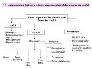 Sc mind map year 5 | PPT