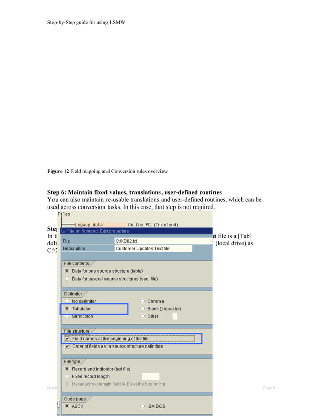 Scm lsmw steps_onweb | PDF