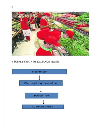 reliance fresh | PDF