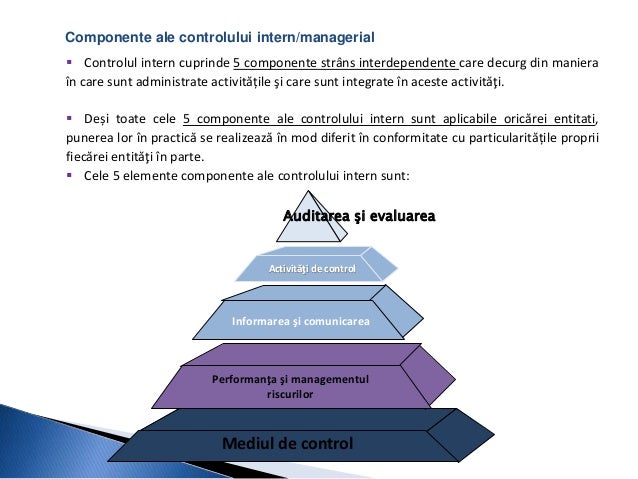 Control Intern Managerial - Diseminare