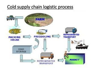 Scm t7 cold_chain_logistics | PDF