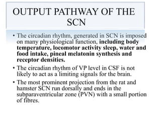SCN ( supra chiasmatic nucleus) | PPTX