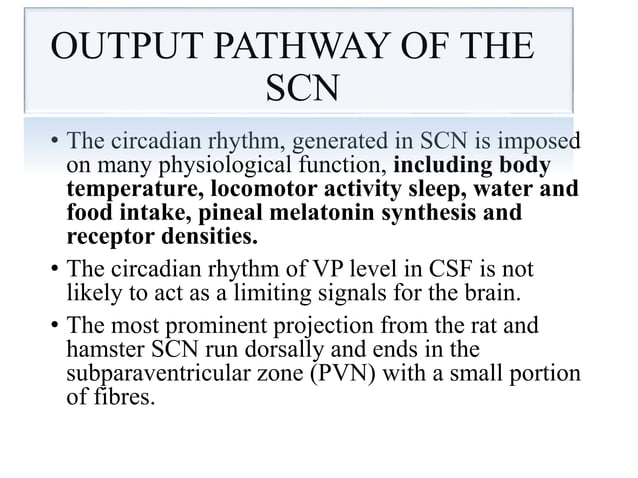SCN ( supra chiasmatic nucleus) | PPTX