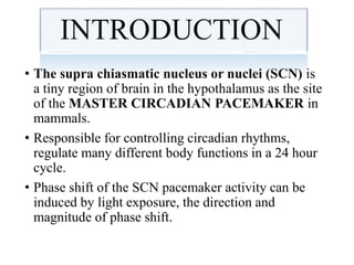SCN ( supra chiasmatic nucleus) | PPTX
