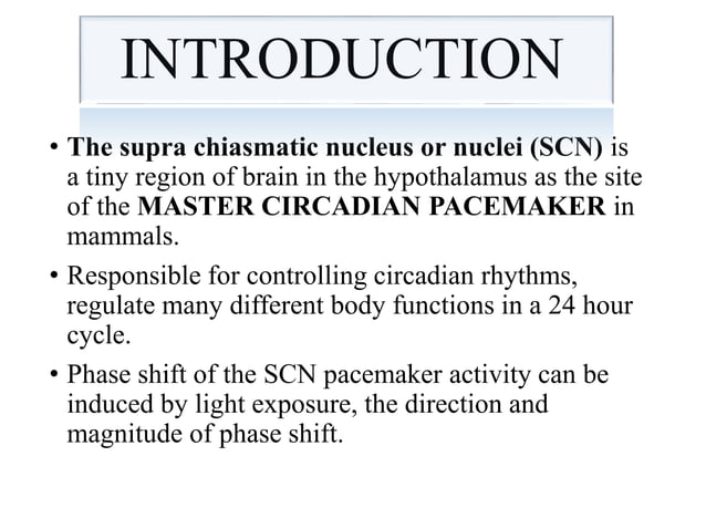 SCN ( supra chiasmatic nucleus) | PPTX