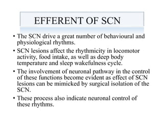 SCN ( supra chiasmatic nucleus) | PPTX