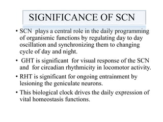 SCN ( supra chiasmatic nucleus) | PPTX