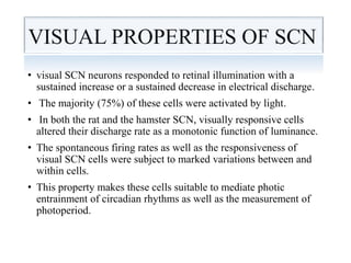 SCN ( supra chiasmatic nucleus) | PPTX