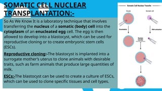 Somatic cell nuclear Transplantation PPT2.pptx