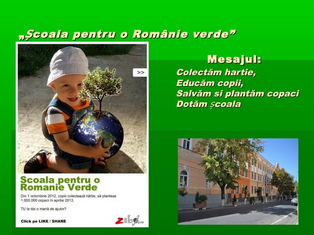 Scoala Gimnaziala "Silvania" castiga al doilea premiu in programul ...