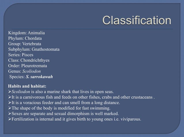 Scoliodon Morphology.pptx | Fish and Aquariums | Pets