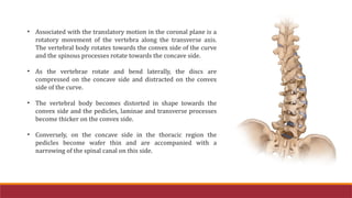 Pathomechanics of Scoliosis and principles of management of scoliosis .pptx
