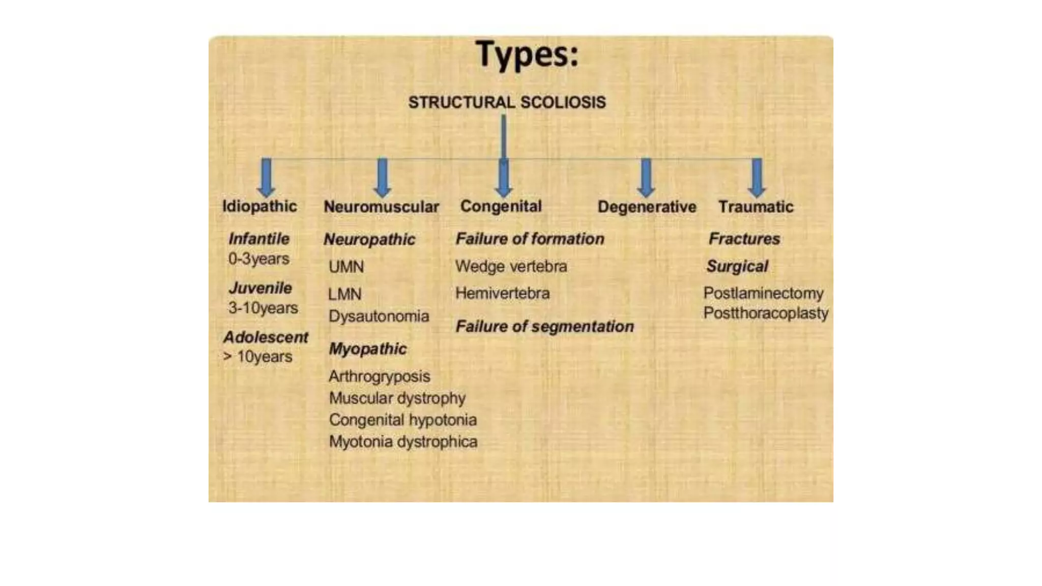 SCOLIOSIS PPT DR VASU SRIVASTAVA.pptx