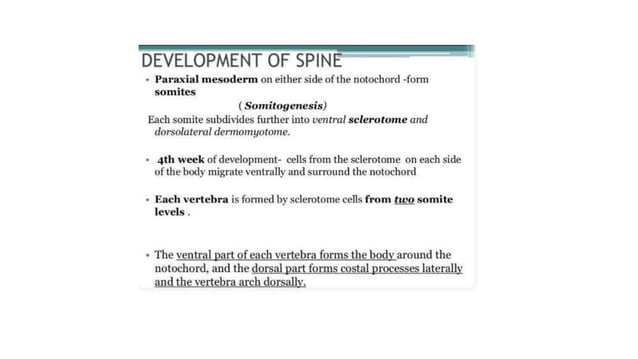 SCOLIOSIS PPT DR VASU SRIVASTAVA.pptx