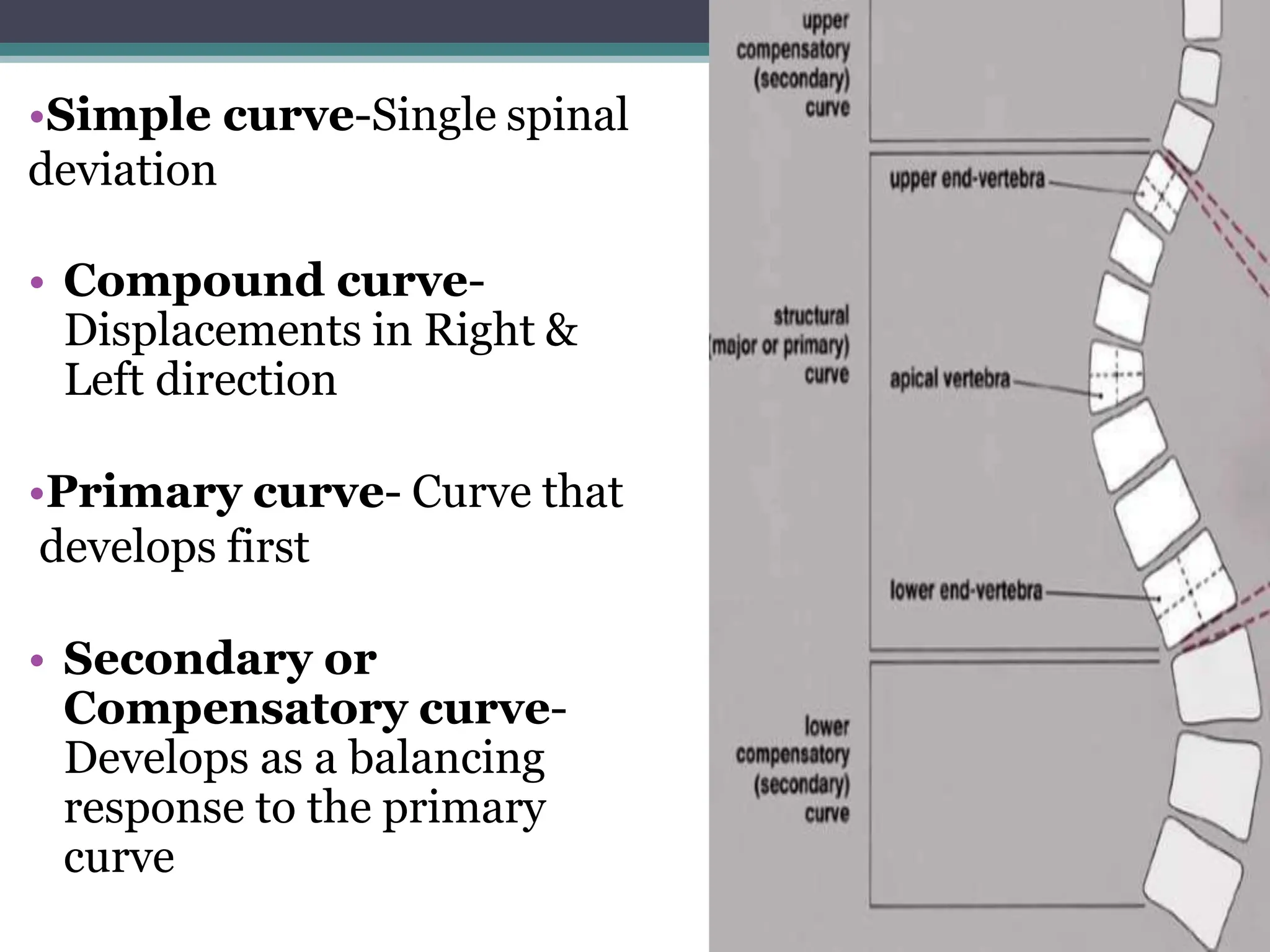 scoliosisseminarfinal-190115143952 (1).pptx