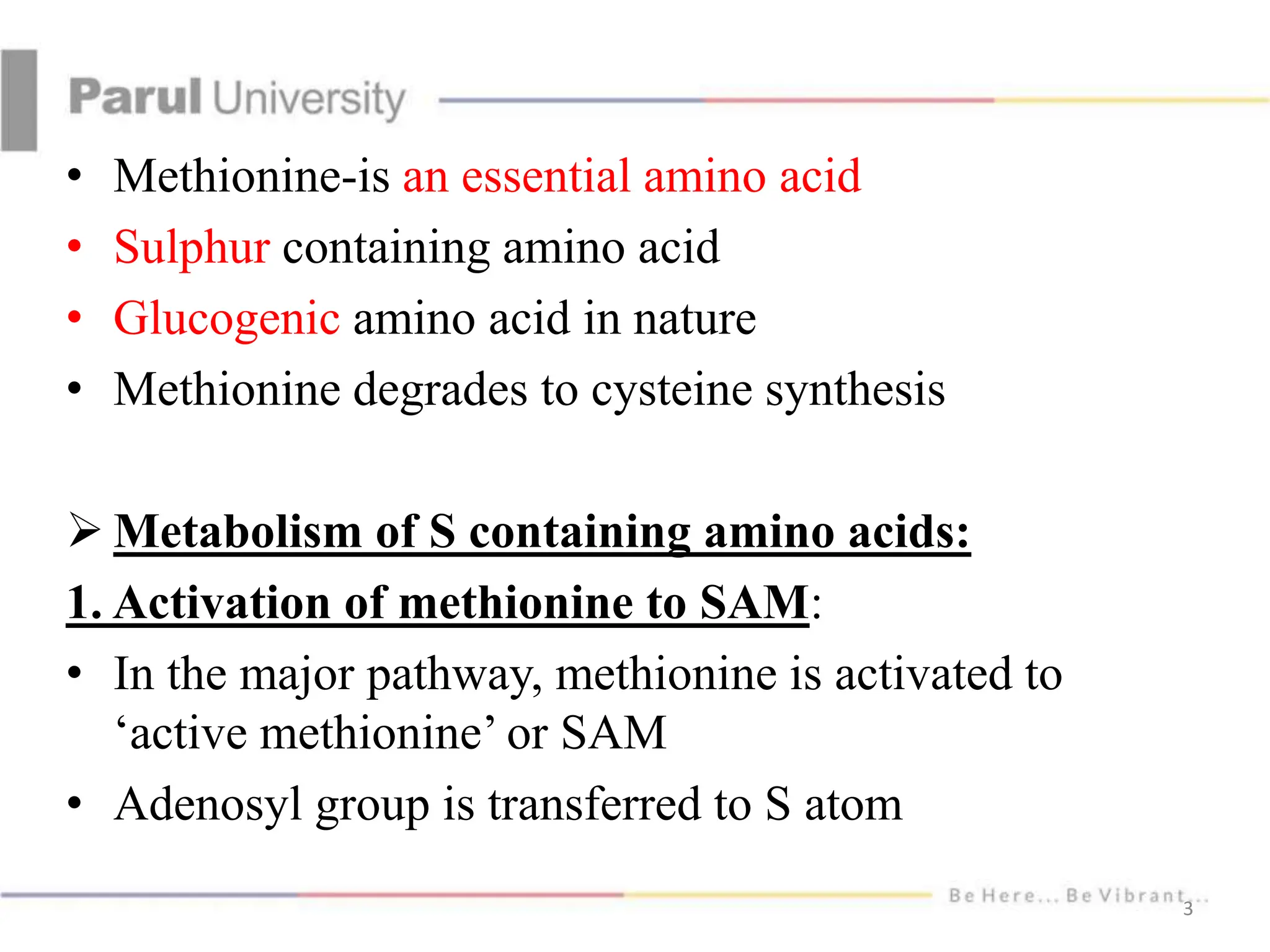 S containing AA Metabolism Met, Cys-Methionine, cysteine, homocysteine ...