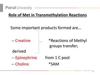 S containing AA Metabolism Met, Cys-Methionine, cysteine, homocysteine ...
