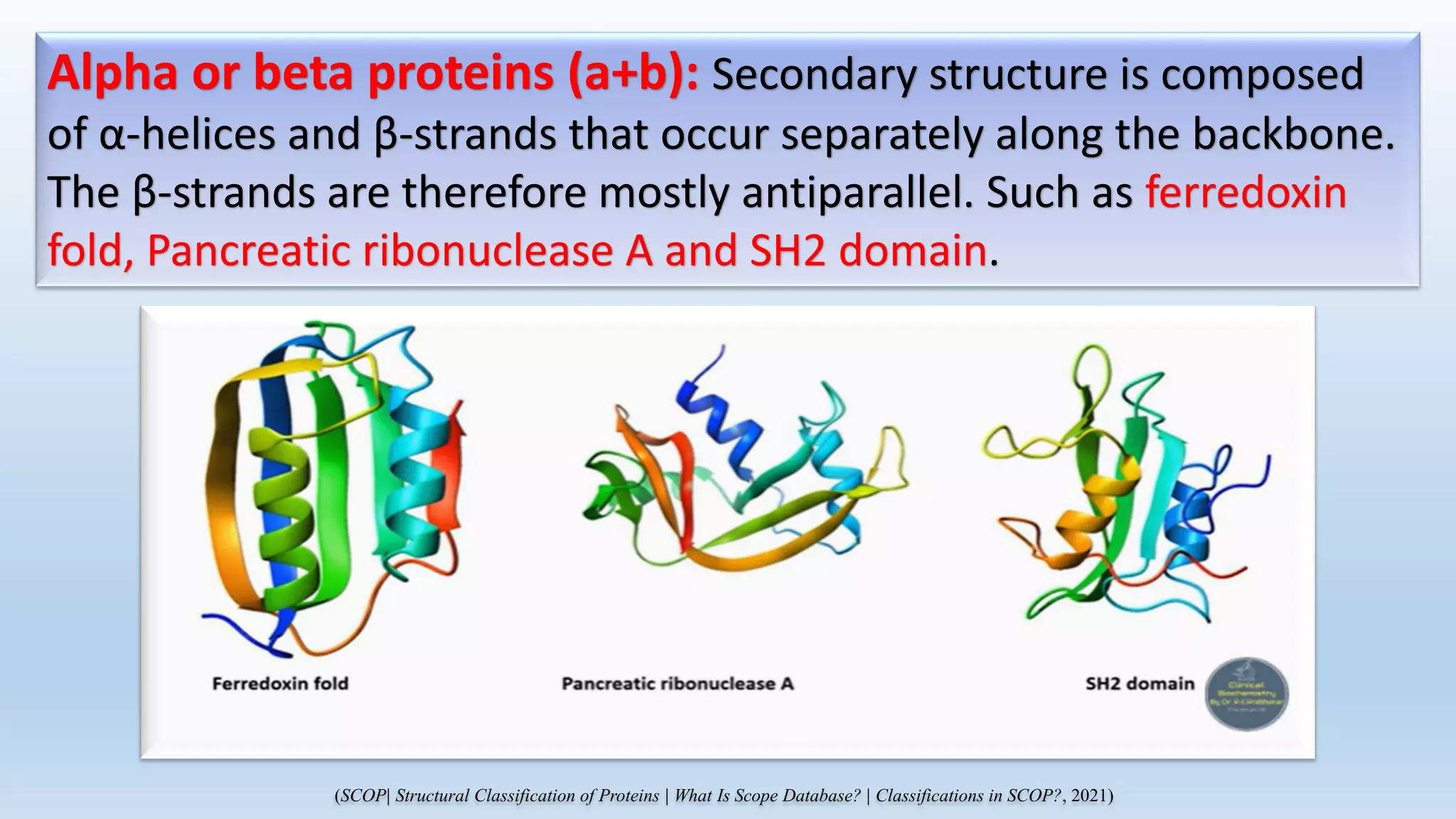 Protein structure classification/domain prediction: SCOP and CATH (Bioinformatics)..pdf