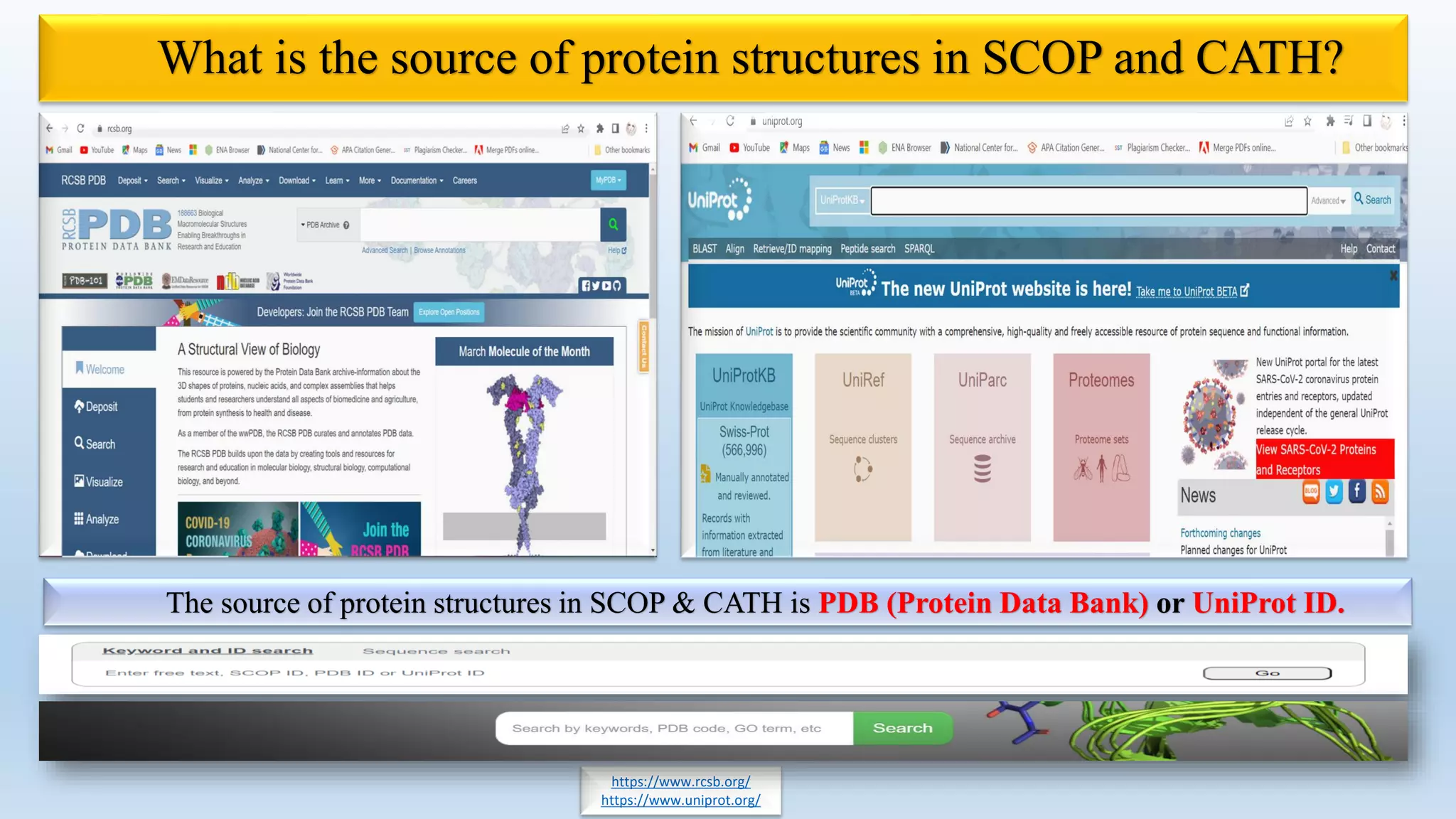 Protein structure classification/domain prediction: SCOP and CATH (Bioinformatics)..pdf