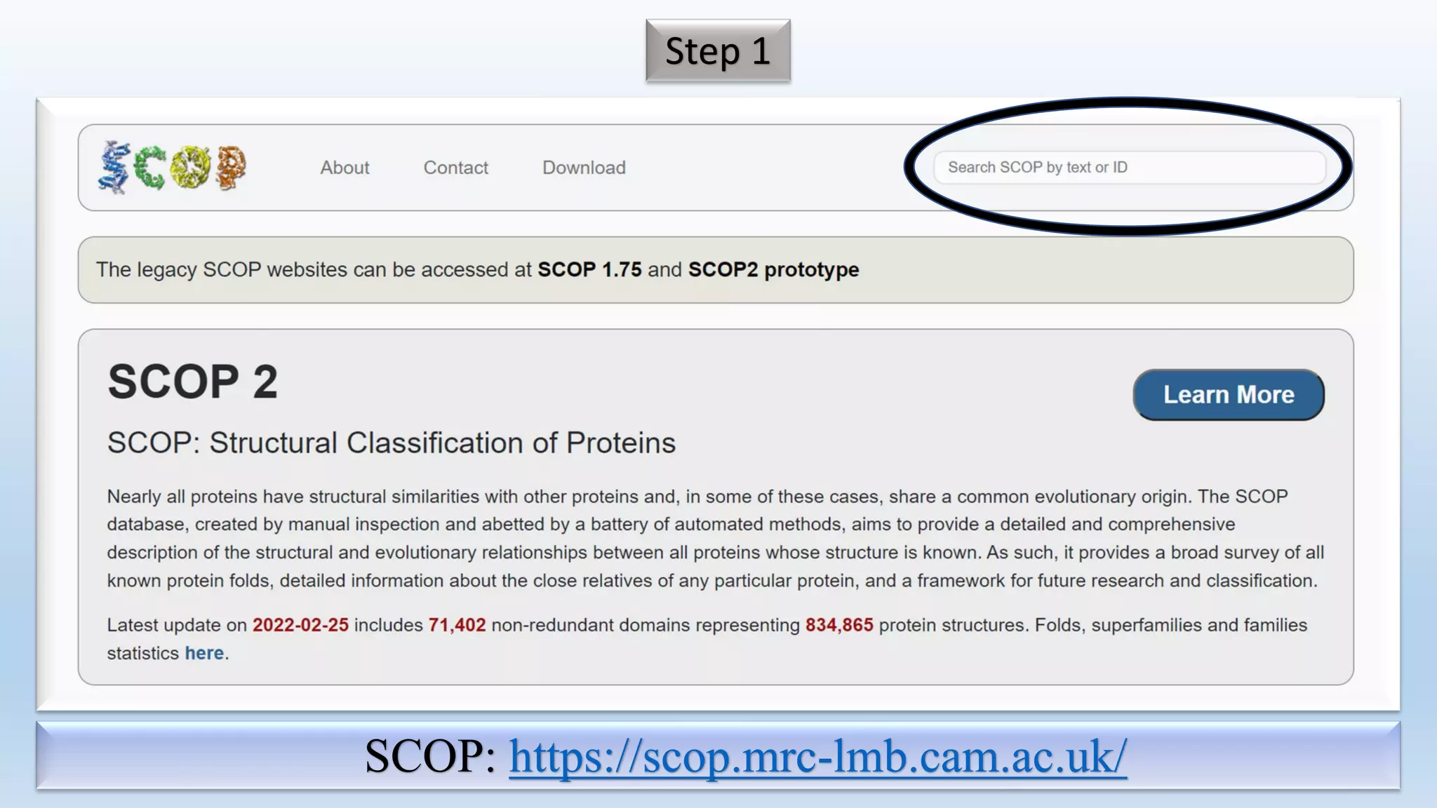 Protein structure classification/domain prediction: SCOP and CATH (Bioinformatics)..pdf