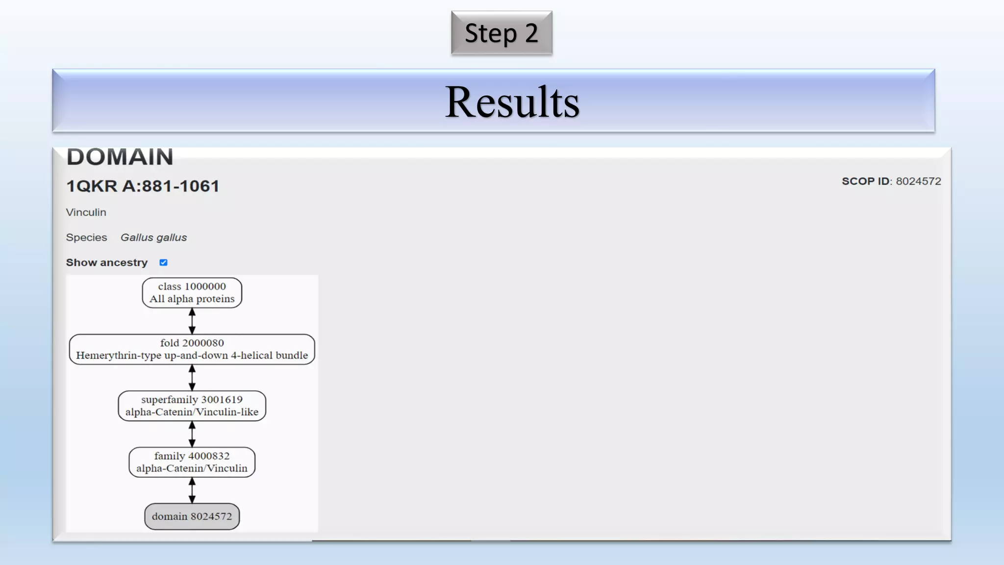 Protein structure classification/domain prediction: SCOP and CATH (Bioinformatics)..pdf