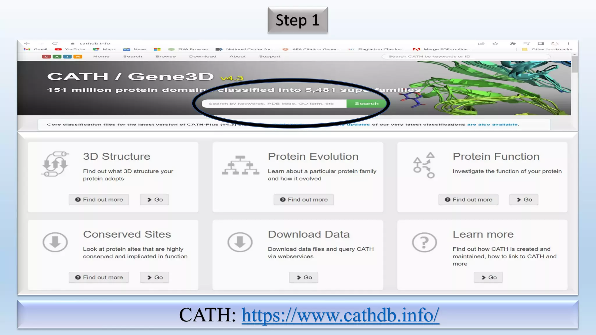 Protein structure classification/domain prediction: SCOP and CATH (Bioinformatics)..pdf