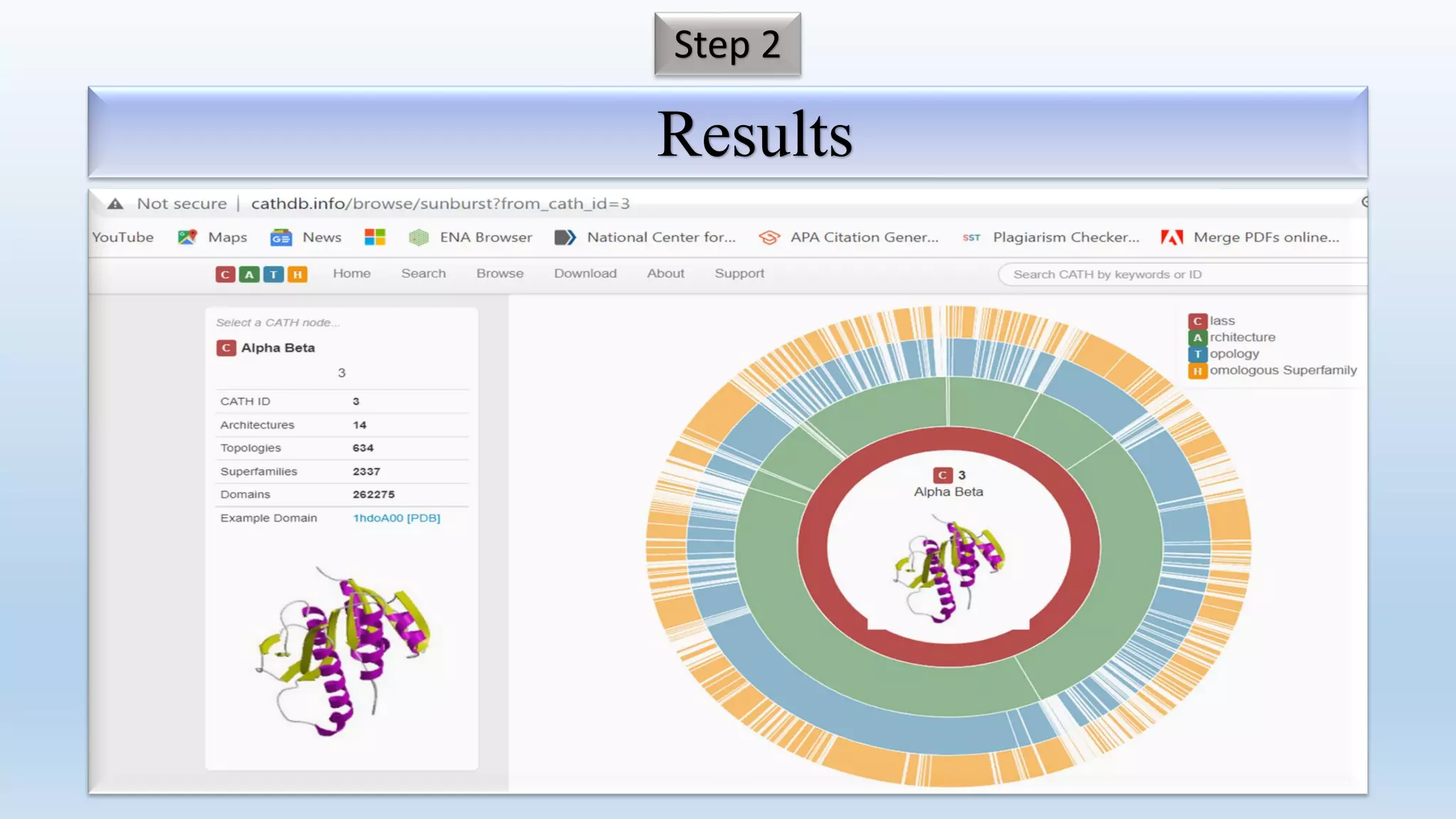 Protein structure classification/domain prediction: SCOP and CATH (Bioinformatics)..pdf
