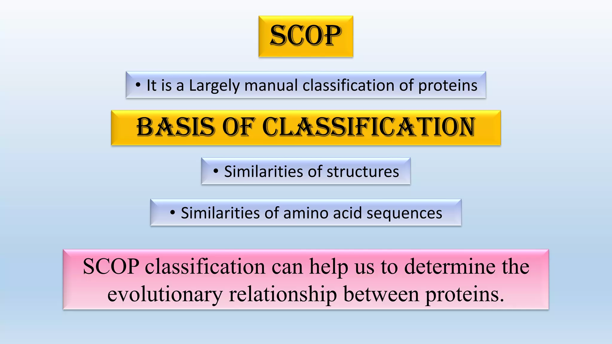 Protein structure classification/domain prediction: SCOP and CATH (Bioinformatics)..pdf
