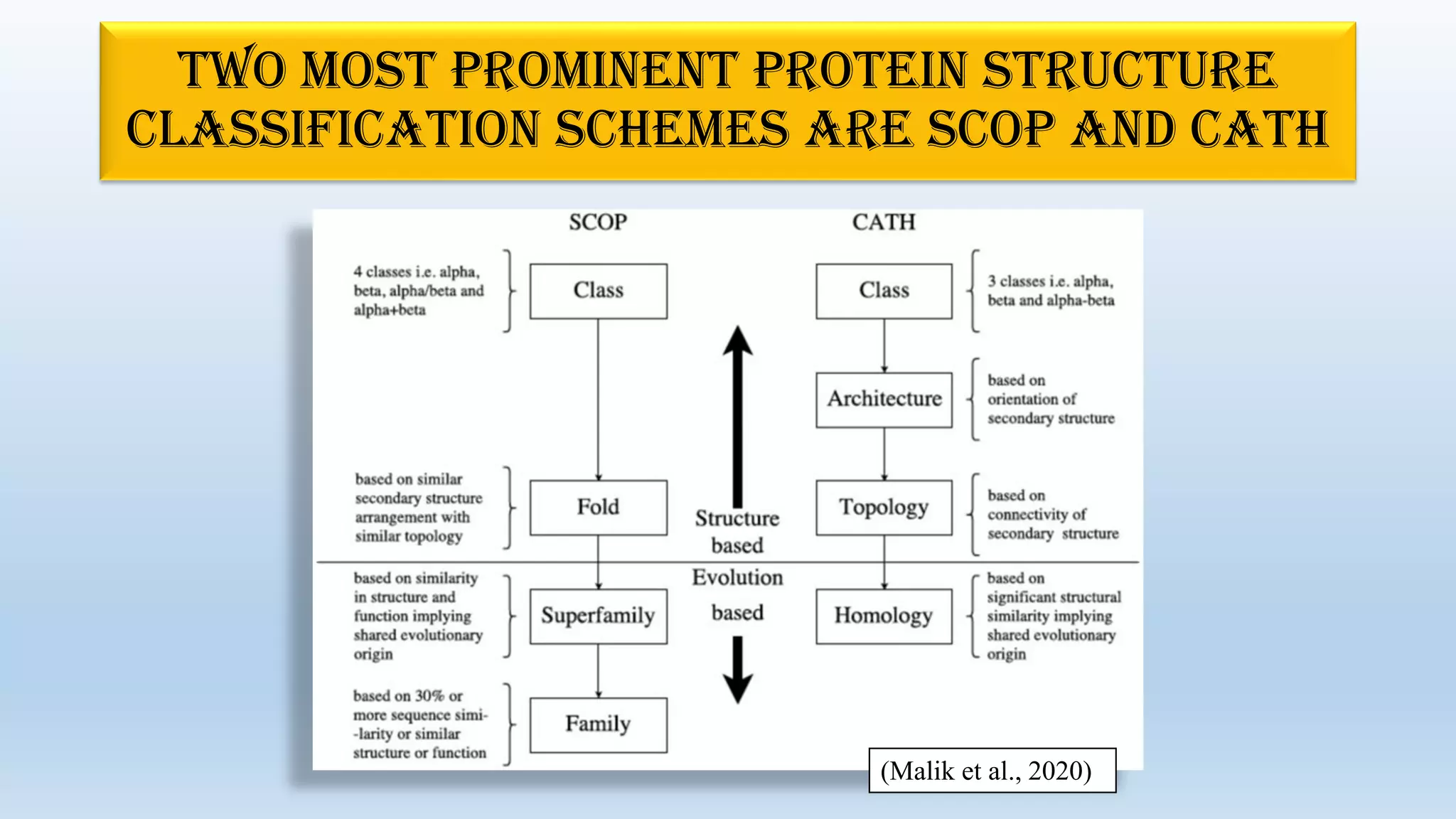 Protein structure classification/domain prediction: SCOP and CATH (Bioinformatics)..pdf