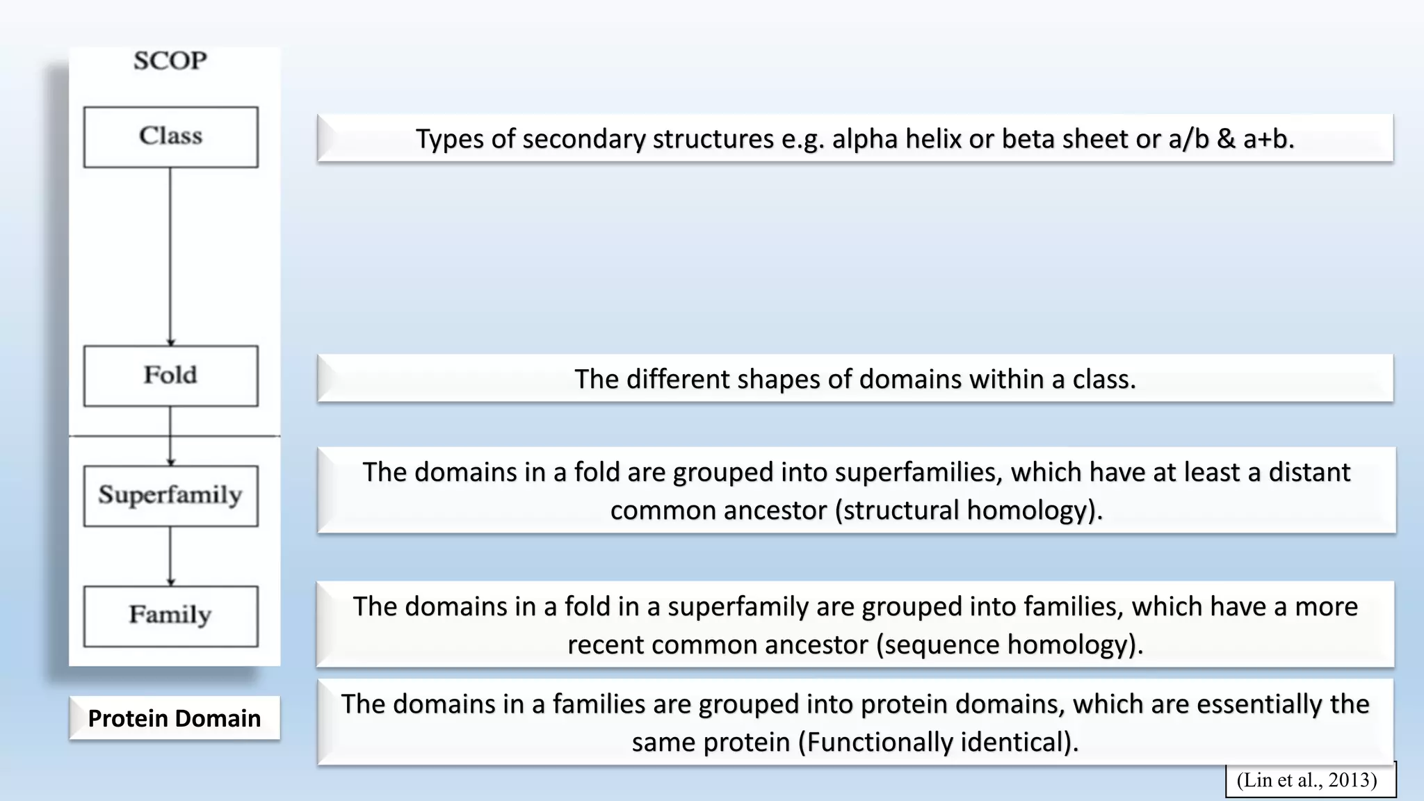 Protein structure classification/domain prediction: SCOP and CATH ...