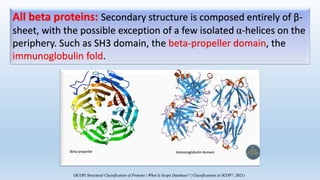 Protein structure classification/domain prediction: SCOP and CATH ...