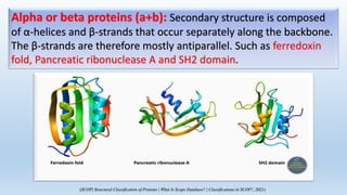 Protein structure classification/domain prediction: SCOP and CATH (Bioinformatics)..pdf