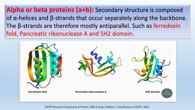 Protein structure classification/domain prediction: SCOP and CATH (Bioinformatics)..pdf