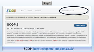 Protein structure classification/domain prediction: SCOP and CATH ...