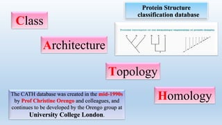 Protein structure classification/domain prediction: SCOP and CATH ...