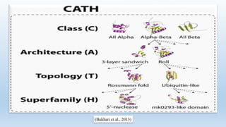 Protein structure classification/domain prediction: SCOP and CATH ...