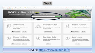 Protein structure classification/domain prediction: SCOP and CATH ...