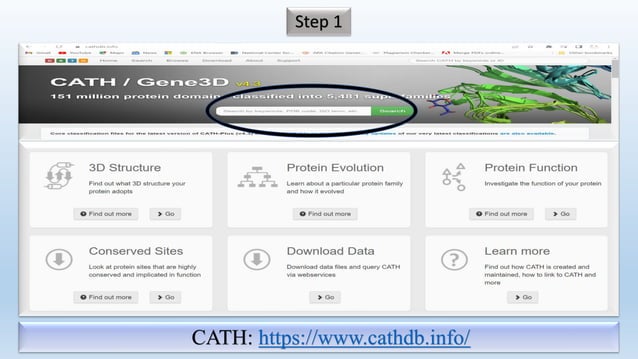Protein structure classification/domain prediction: SCOP and CATH ...