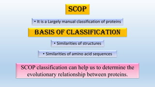 Protein structure classification/domain prediction: SCOP and CATH ...