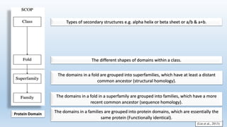 Protein structure classification/domain prediction: SCOP and CATH (Bioinformatics)..pdf