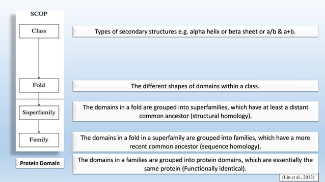 Protein structure classification/domain prediction: SCOP and CATH ...