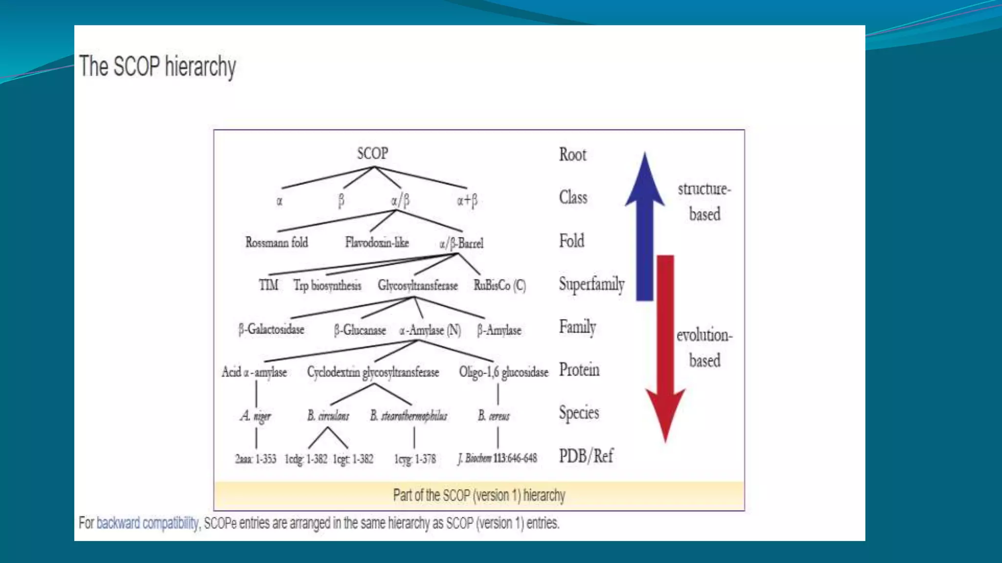 Scop database | PPTX