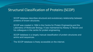 Scop database | PPTX