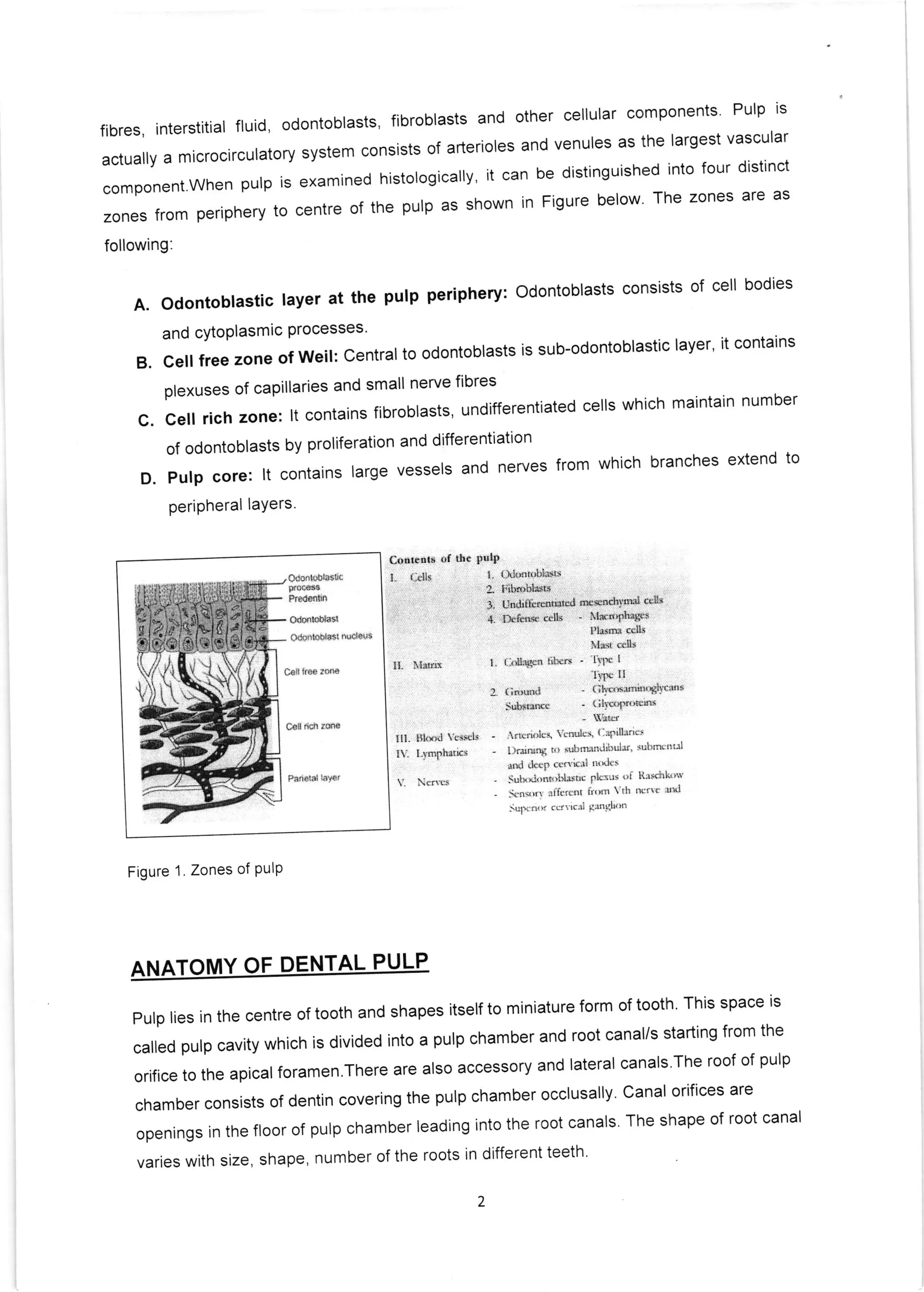 Scope-of-endodontics in dentistry required by dentists as we know the ...
