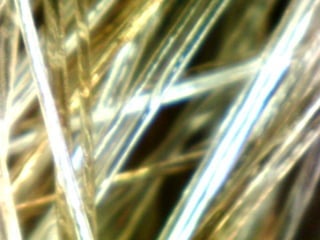 Scope On A Rope | PPT