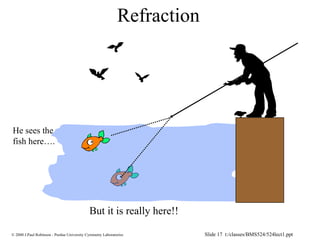 Microscopy flourescent staining techniques | PPT