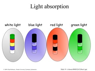 Microscopy flourescent staining techniques | PPT