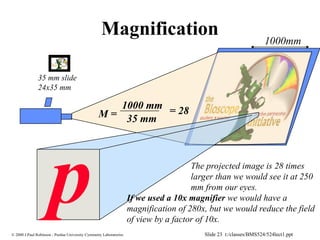 Microscopy flourescent staining techniques | PPT