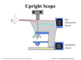 Microscopy flourescent staining techniques | PPT