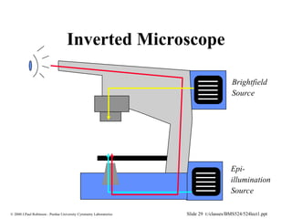 Microscopy flourescent staining techniques | PPT